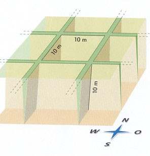 Earth Lines and the Hartmann Grid - HubPages