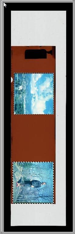 How to Scan Odd (Non-Standard) Size Film Negatives on a Canoscan 8800f ...