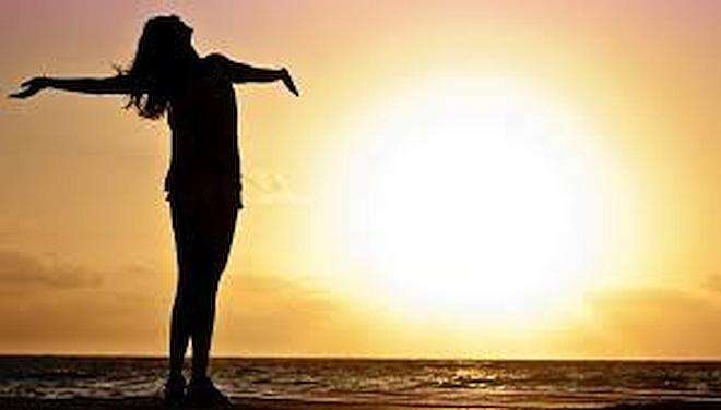 What Is Life? - HubPages