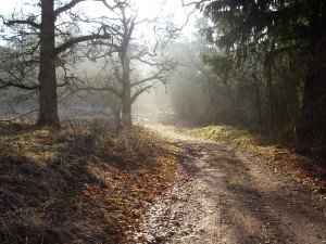 The Wizard of Yester and the Goblin Hall - A Scottish Castle Built by ...