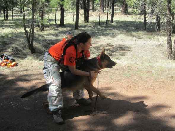The Annual Arizona K9 Search and Rescue Conference - HubPages