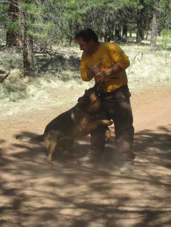 The Annual Arizona K9 Search and Rescue Conference - HubPages