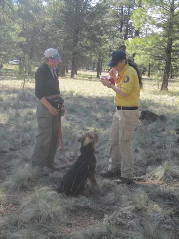 The Annual Arizona K9 Search and Rescue Conference - HubPages