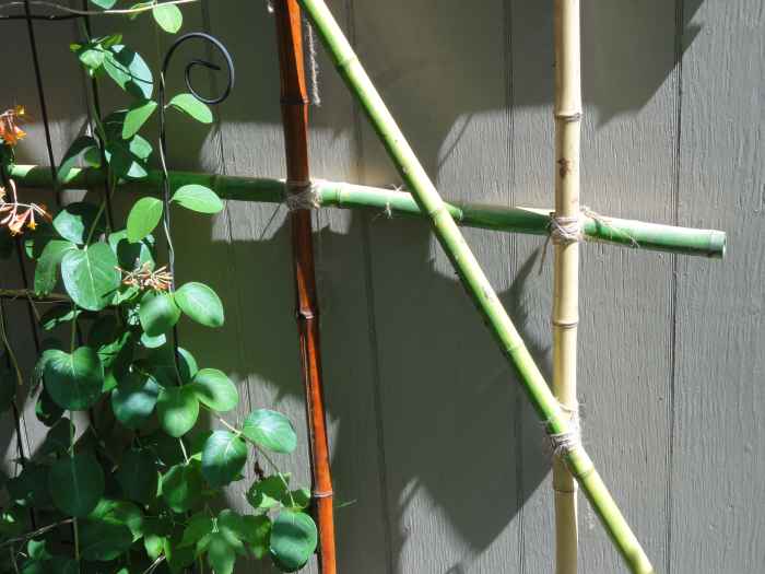 How To Build A Bamboo Trellis For Your Garden and Make Your Garden ...