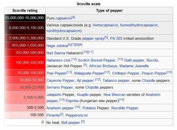Ranking the World's Hottest Peppers - HubPages