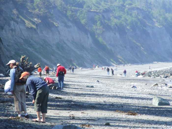 Natural Beach Combed Sea Glass: A Vanishing Treasure - HubPages
