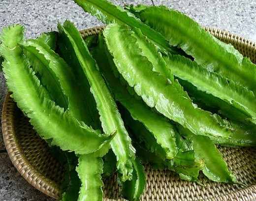 Complete Guide to Filipino Vegetables (With Tagalog Names) - HubPages