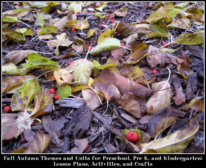 Fall Autumn Themes and Units for Preschool, Pre K, and Kindergarten ...