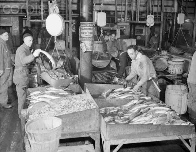 The Great Fishermen of Britain - Feeding the Nation During WWII and ...