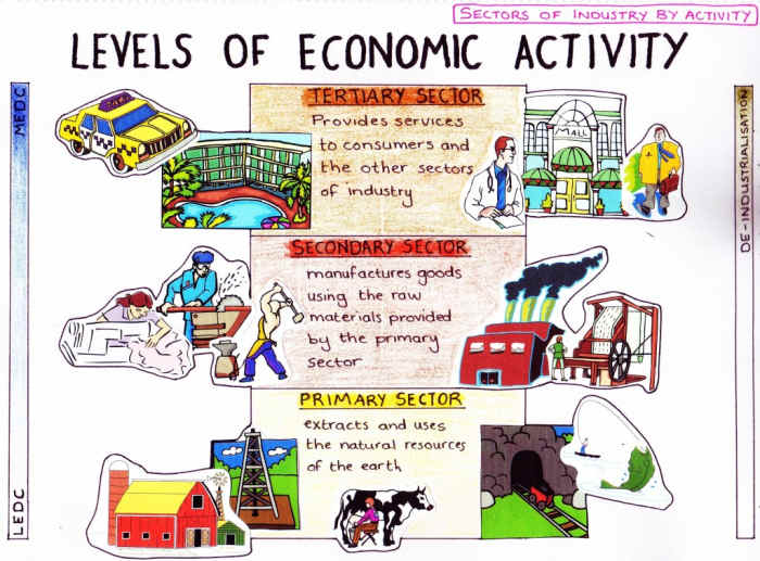 5 Major Fields of Business Activity-define - HubPages