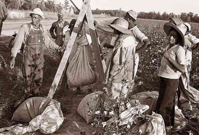 This is a Cotton Picking Story . . . - HubPages