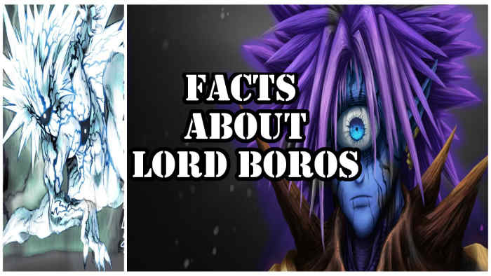 Fourteen One Punch Man Facts About Lord Boros - HubPages