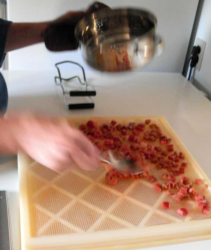 How to Dry Rhubarb--An Illustrated Guide - HubPages