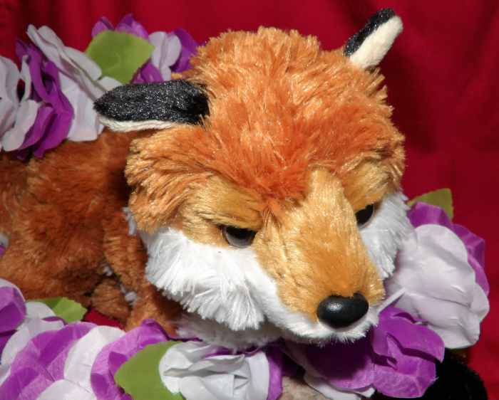 I’m An Adult Foxkin (Fox Therian), Are You? - HubPages