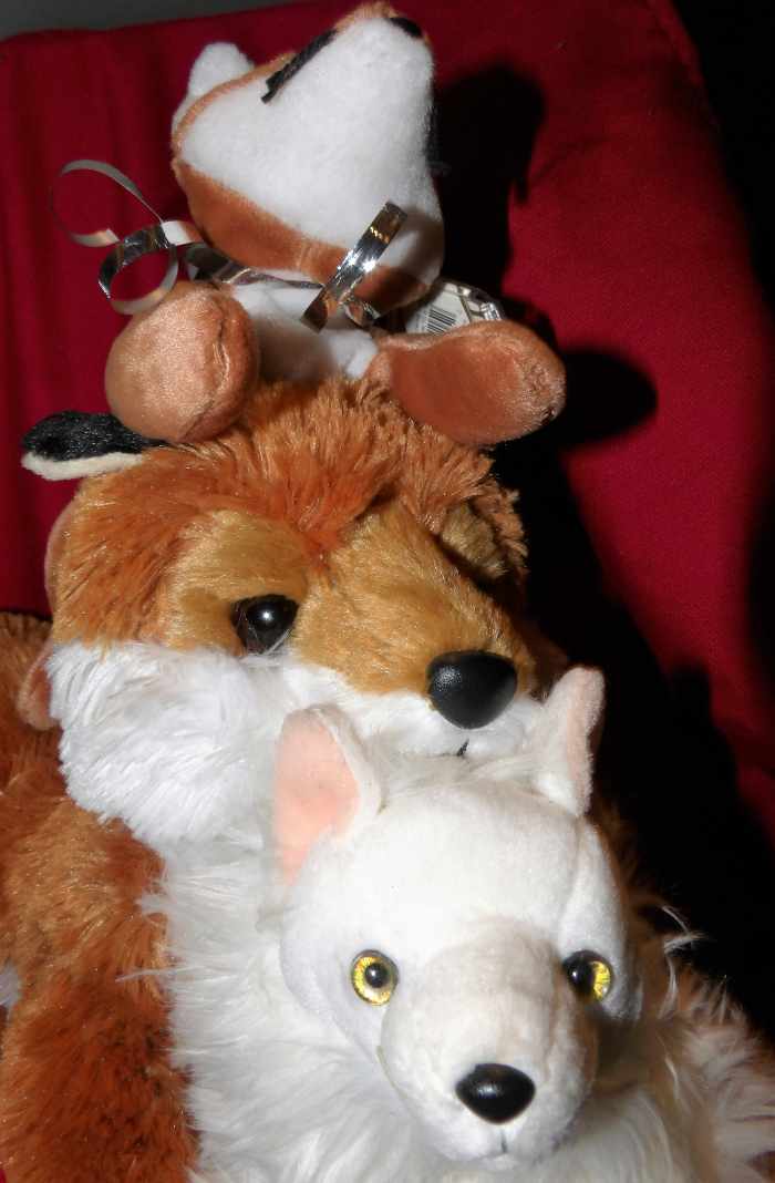 I’m An Adult Foxkin (Fox Therian), Are You? - HubPages