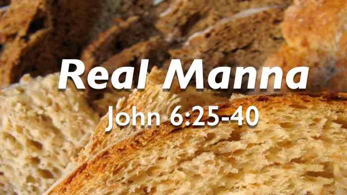 Why the Manna Ceased When the Israelites Entered the Promised Land ...