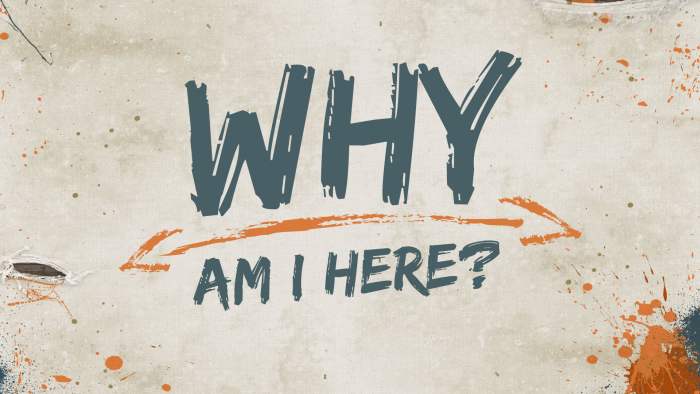 What is Your Why: Discover Your Purpose in Every Day Life - HubPages