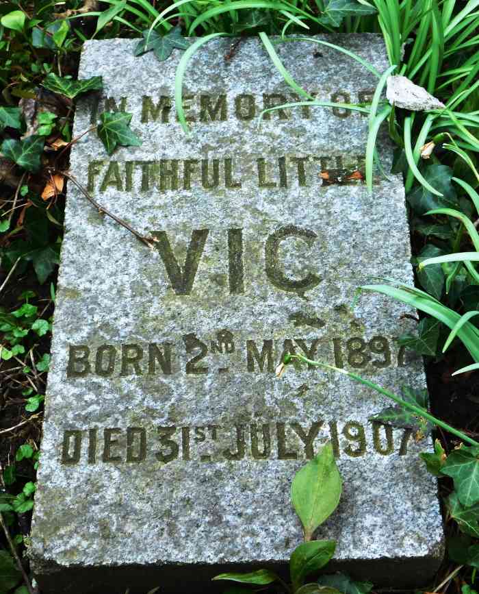 Fullarton Woods: Troon South Ayrshire Scotland - HubPages