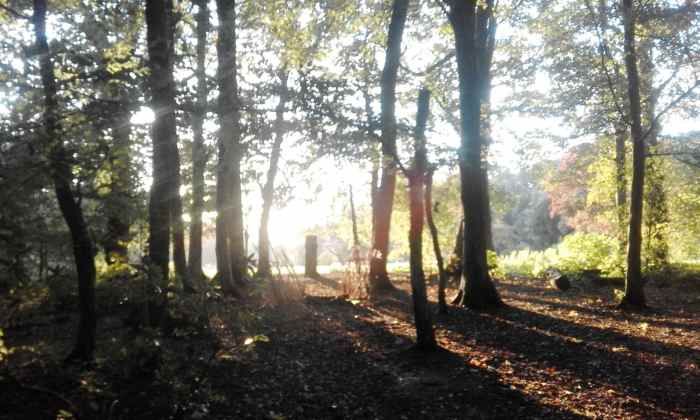 Fullarton Woods: Troon South Ayrshire Scotland - HubPages