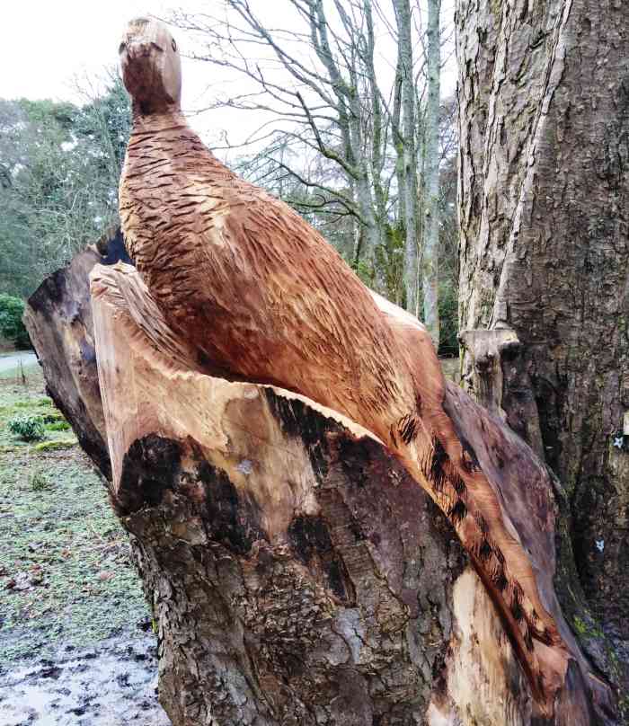 Fullarton Woods: Troon South Ayrshire Scotland - HubPages