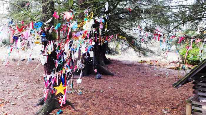 Fullarton Woods: Troon South Ayrshire Scotland - HubPages