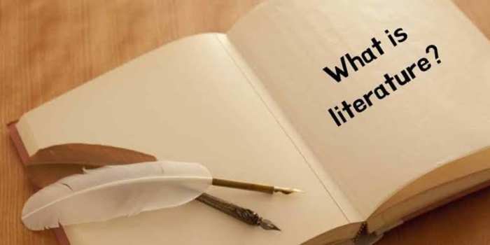 What is Literature - HubPages