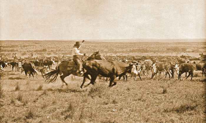 Cowboys, Cattle Drives, and Chuck Wagons - HubPages