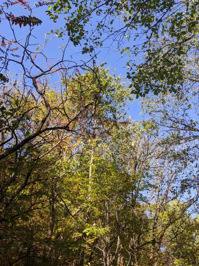 Walking the Red Jacket Trail - HubPages