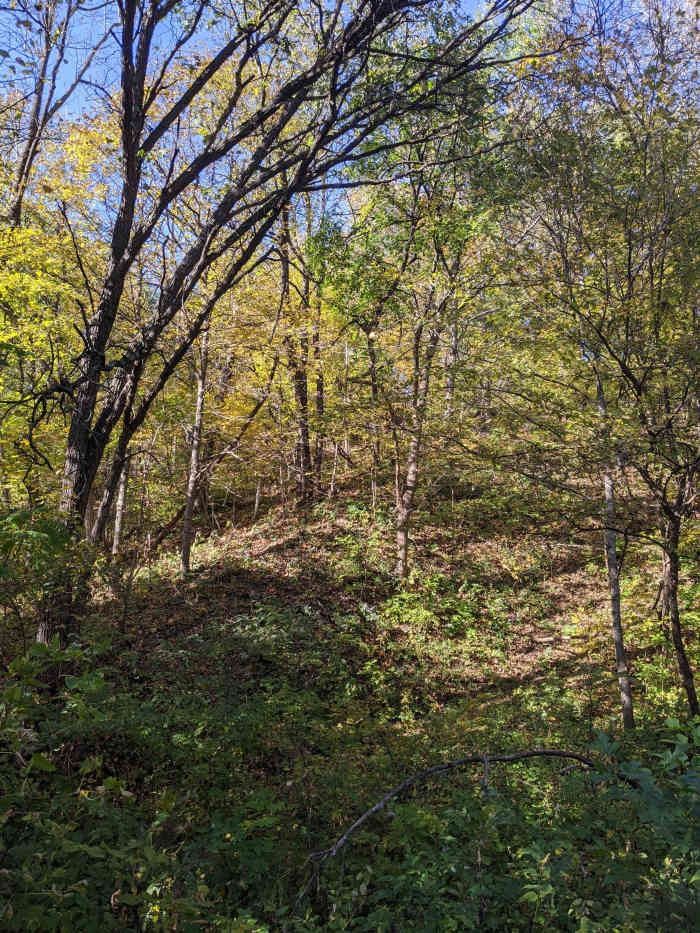 Walking the Red Jacket Trail - HubPages