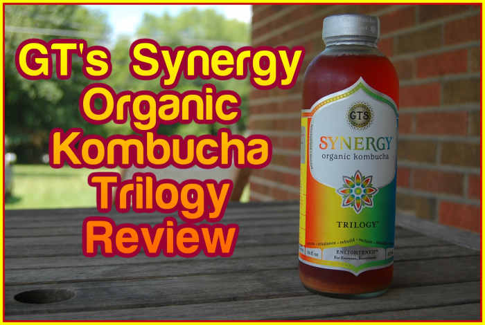 Review of GT's Synergy Trilogy Organic Raw Kombucha - HubPages