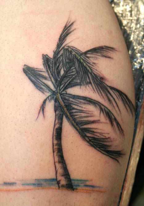 Palm Tree Tattoo Ideas and Designs - HubPages