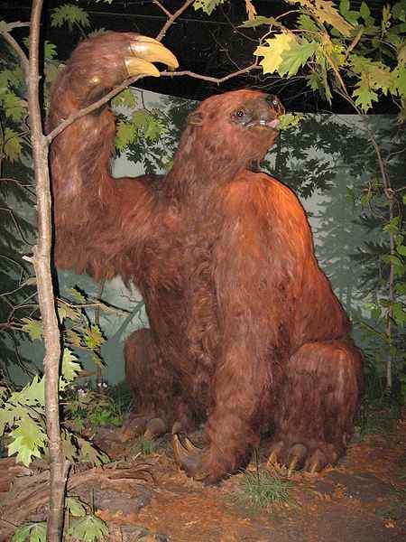 The American Megafauna - HubPages