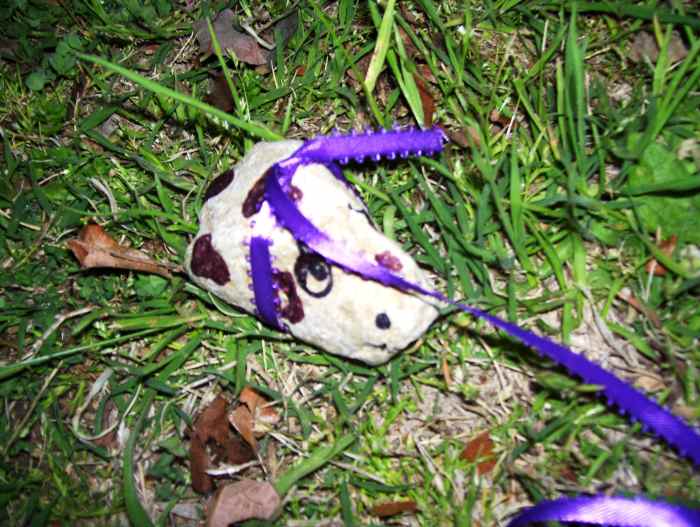 How to Have a Fun Time with Your Pet Rock - HubPages