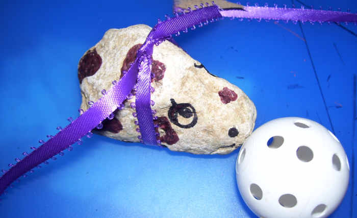 How to Have a Fun Time with Your Pet Rock - HubPages