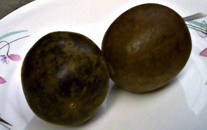 Luo Han Guo (Monk Fruit) Health Drink Recipe - HubPages