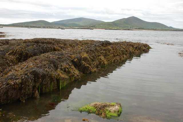 The Lady of Gollerus - An Irish Merrow Legend - HubPages