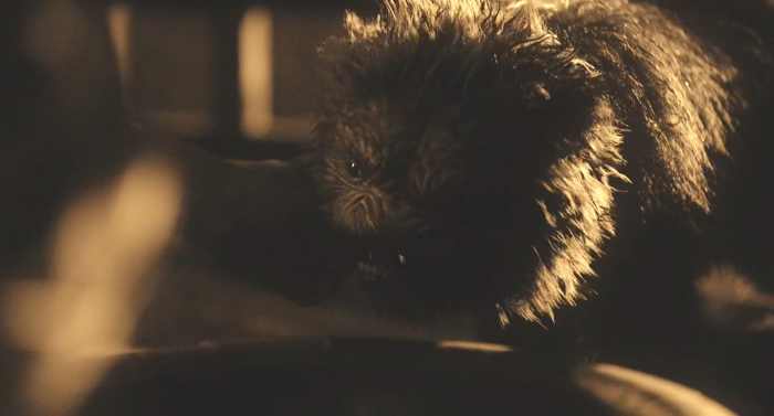 Monstrum (2018) Movie Review - HubPages