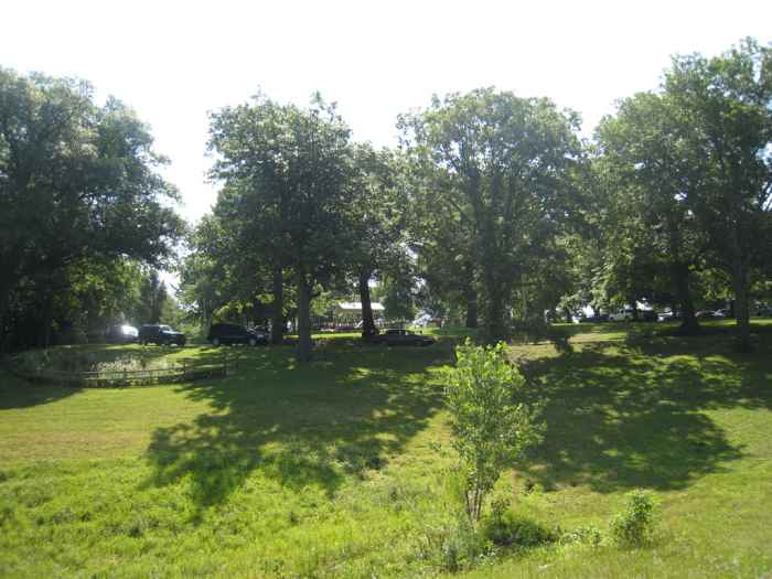 Going to the Park with your Girlfriend or Boyfriend, Tips for things to ...