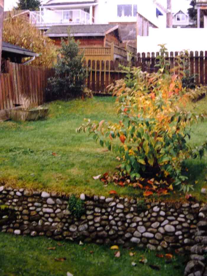 The 10 Best Plants for Your Pacific Northwest Garden - HubPages
