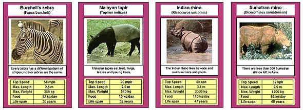 Free Printable Card Game - Animal Trumps - HubPages