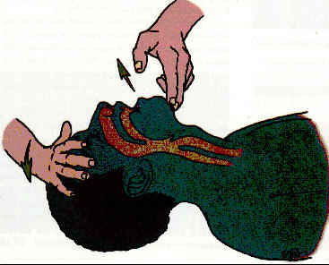 Step-by-Step Adult CPR - HubPages
