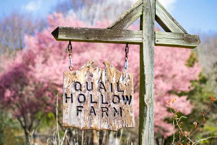 A Guide To Choosing The Best Farm Names 2022 