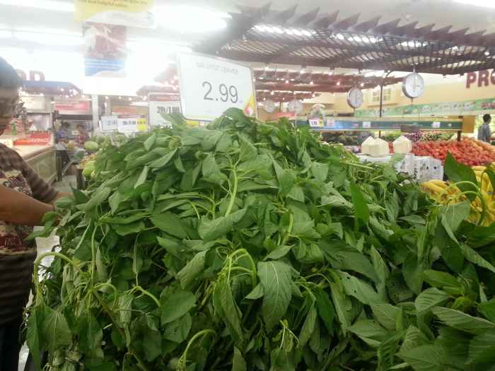 Corchorus Olitorius - Jute Plant, Saluyot, or Egyptian Spinach Photos ...