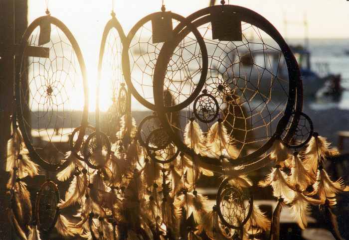 Spiritual Healing the Native American Way With Herbs and Other ...