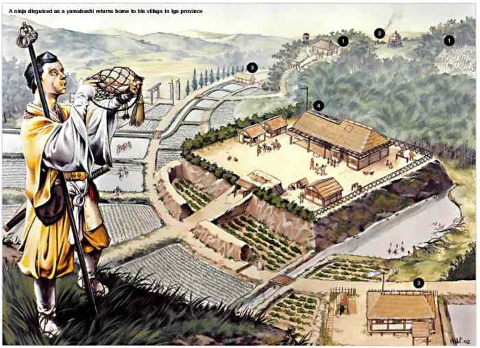 Hierarchy Inside the Ninja Village - HubPages