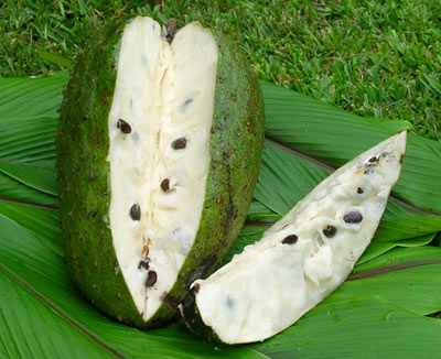 10 Exotic Bahamian Fruits for Better Health - HubPages