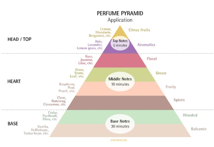 Top Tips for Women's Fragrances - HubPages