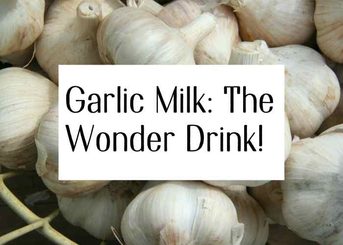 Garlic Milk - A Medicinal Drink and its Benefits - HubPages
