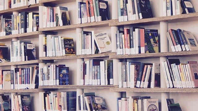 What to Do If the Library Loses a Book You Returned - HubPages