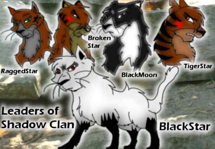 Warriors and Warrior Cats, the Book Series by Erin Hunter - HubPages